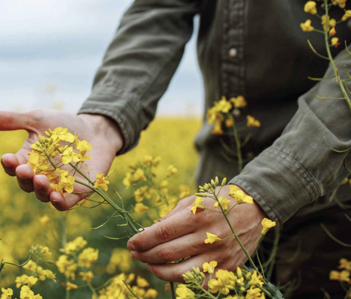 L’agriculture bio regénérative de Farm for Good | Oxfam-Magasins du monde